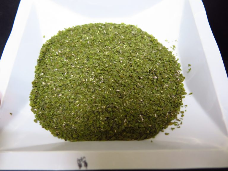 The Perfect Technology of “Solid-State Fermentation” Changes Mung Bean ...