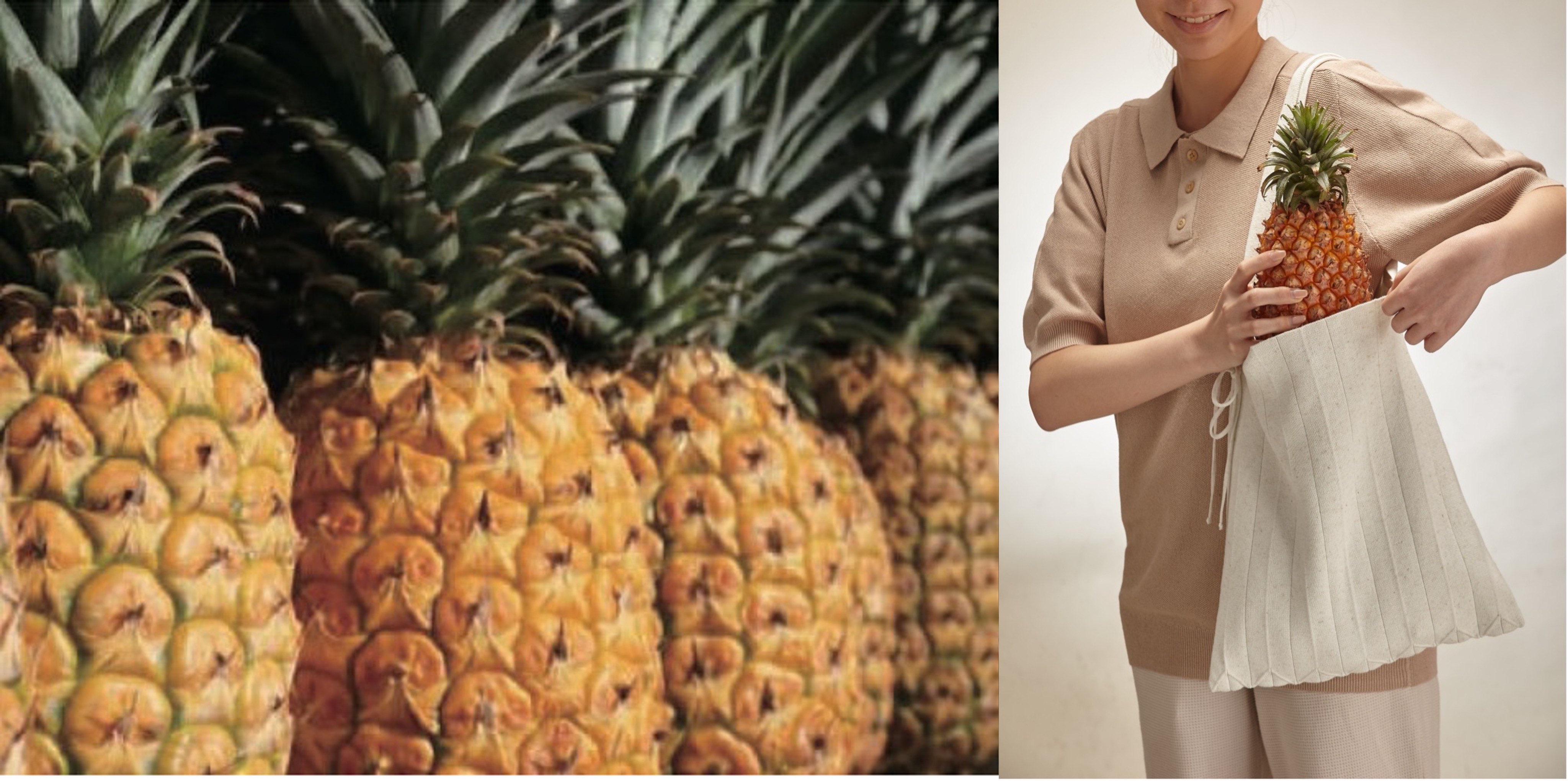 Recycled pineapple leaf fiber (PALF), versatile knitted clothing ...